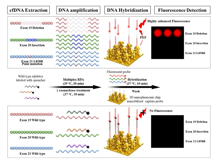 Revolutionizing Cancer Detection: Ultra-Sensitive, Low-Cost Nanomaterial Technology for EGFR ...